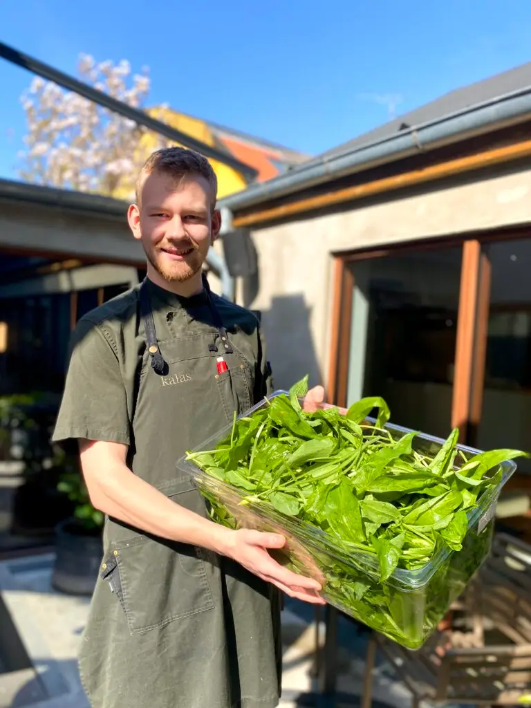 Velkommen - Velkommen til Kalas